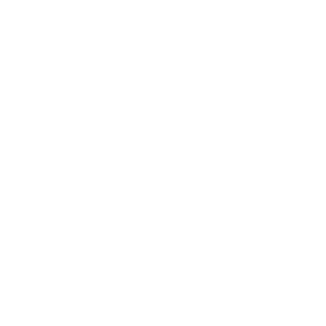 Firntec | Stock Condition Surveys